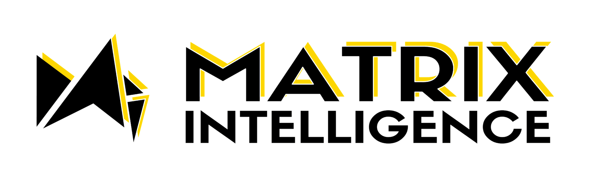 About Us | Matrix Intelligence